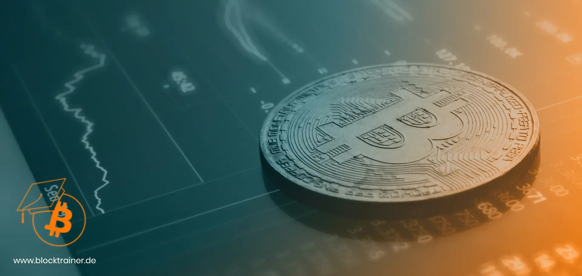 blocktrainer – Seedor